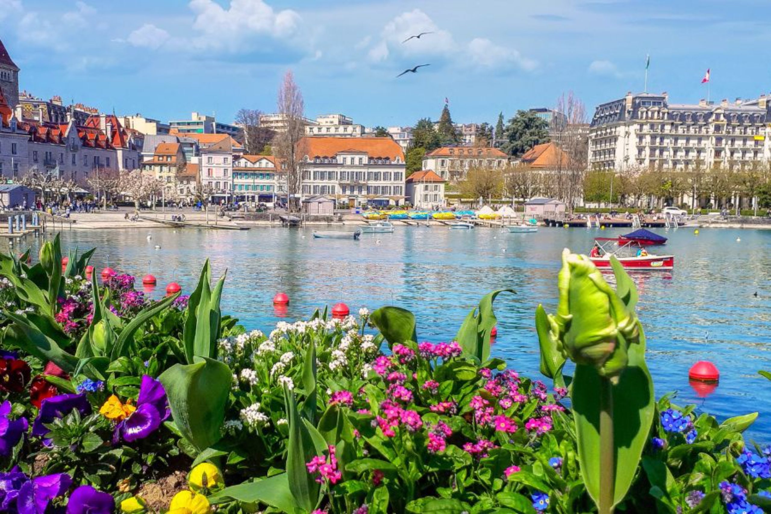 Switzerland Working Holiday Visa: Everything You Need to Know